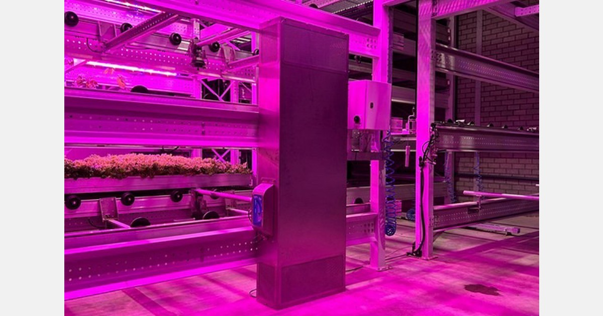 NL: Air fumigation battles mold problems in vertical farm