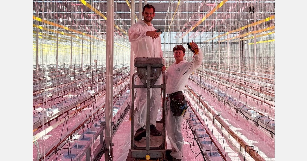 Giving gas for lighting projects: "Cool atmosphere"