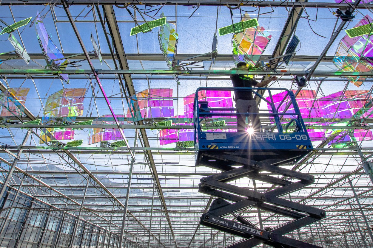 Solar energy solution for greenhouses looks to scale with 5 million ...