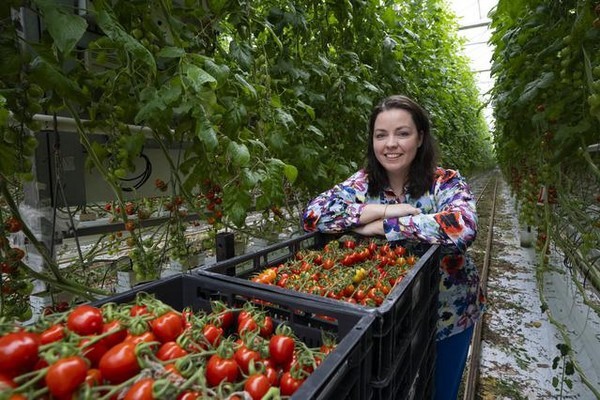 Labor and automation