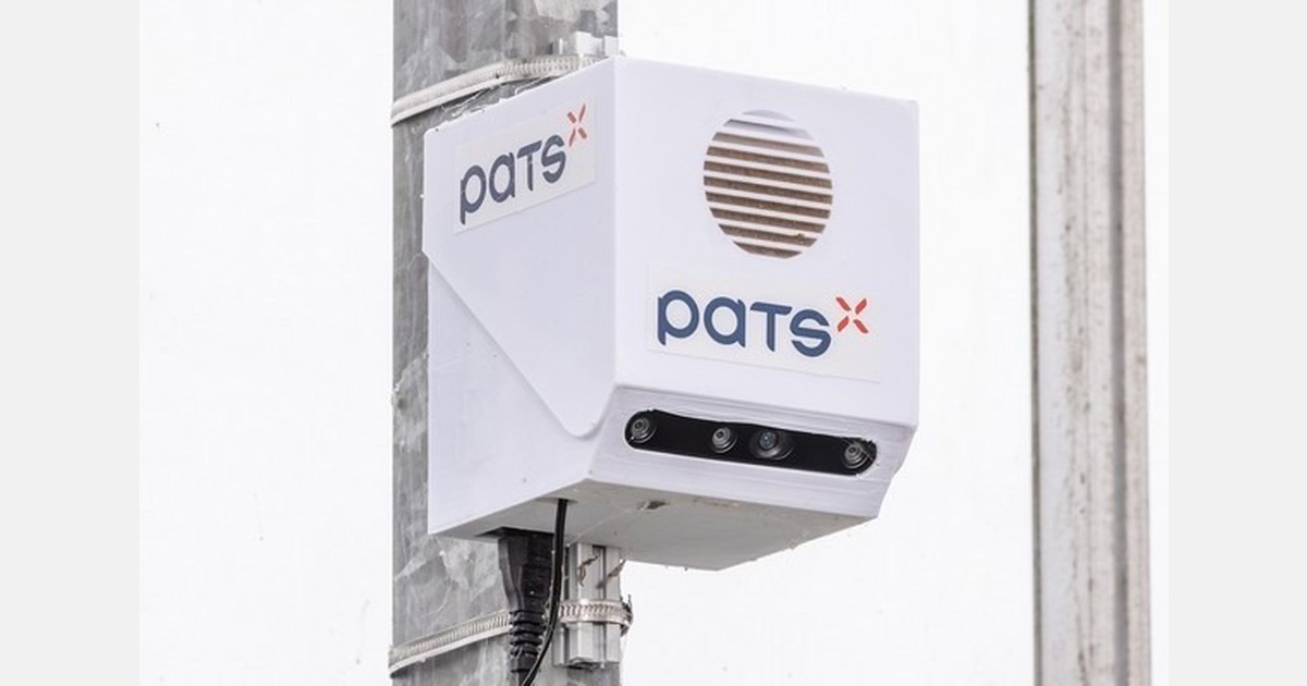 PATS from greenhouse to field, for monitoring cabbage moths