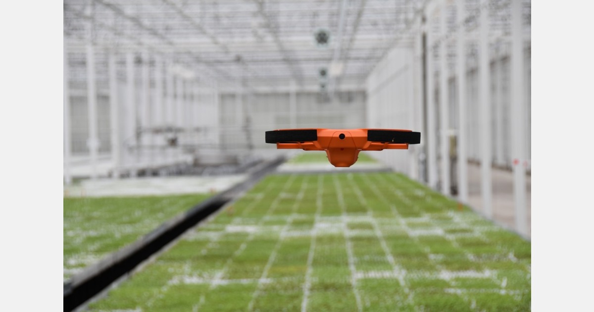 Seedling counting from manual work to analysis with computer vision