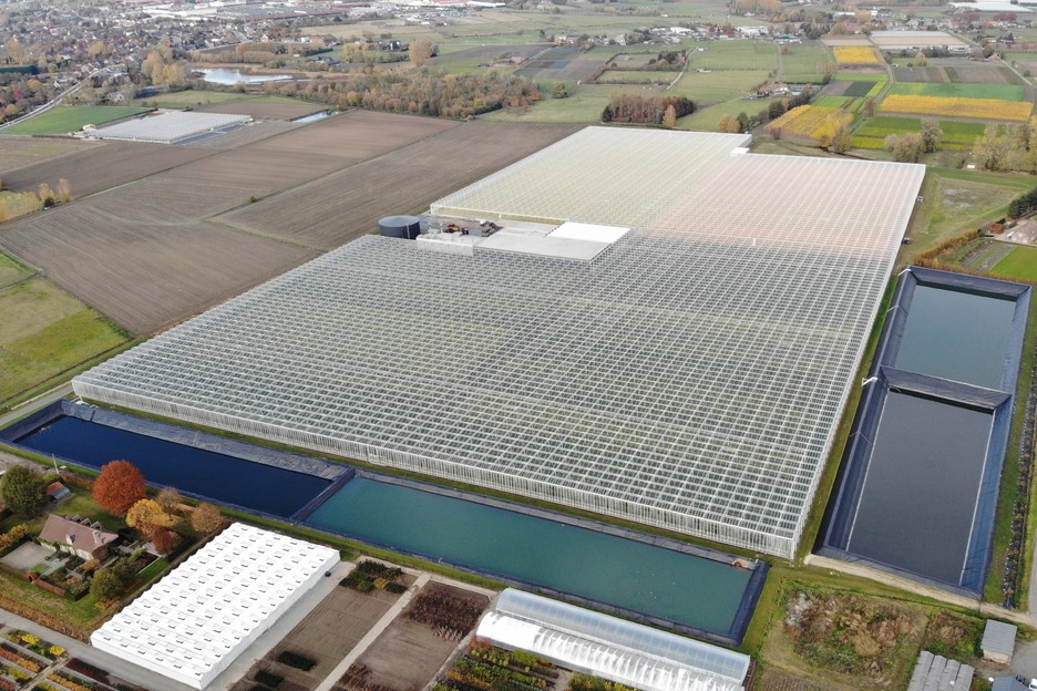 Grower in the Spotlight