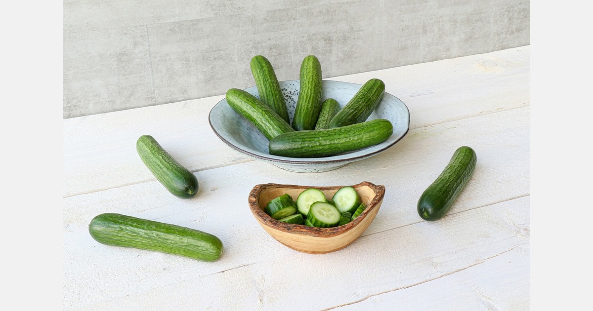 NL: Royal Pride expands range with mini and midi cucumbers