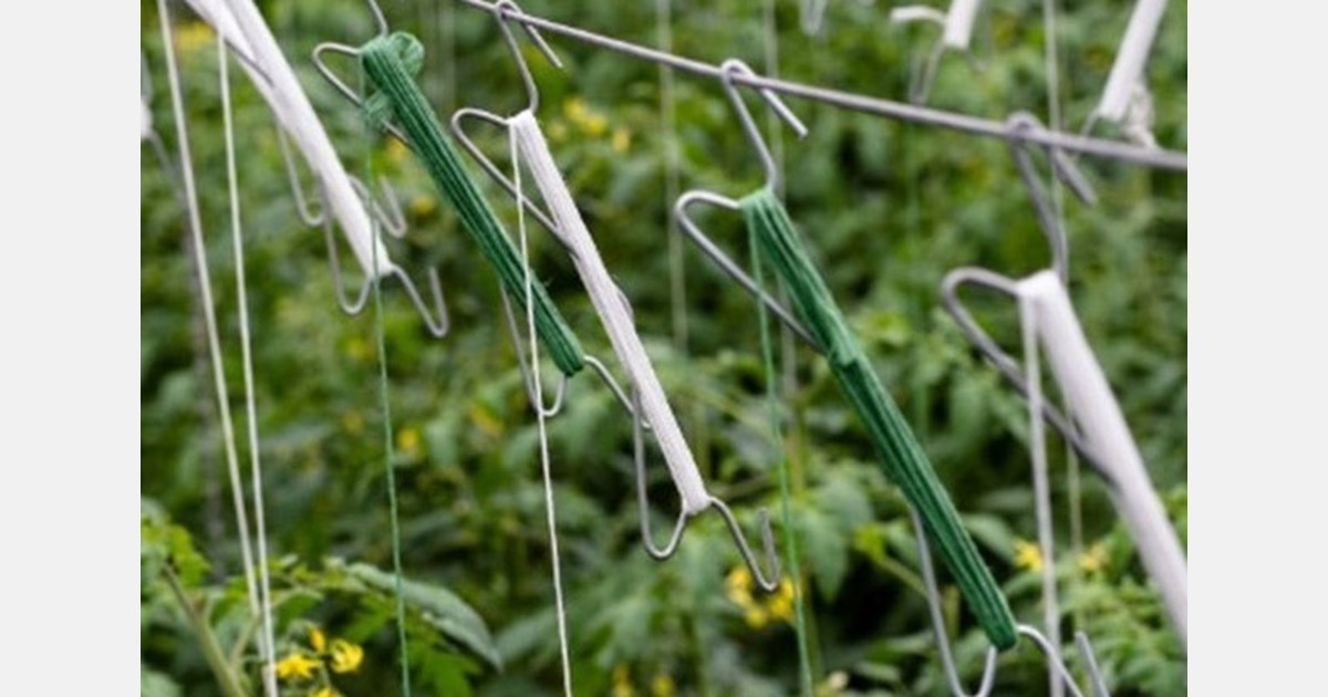 Magic Hooks continues with new distribution partner