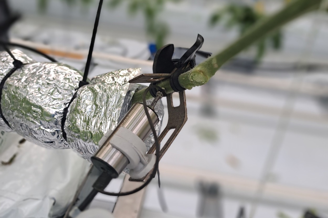 "Plant sensors and dynamic lighting open new doors for growers"