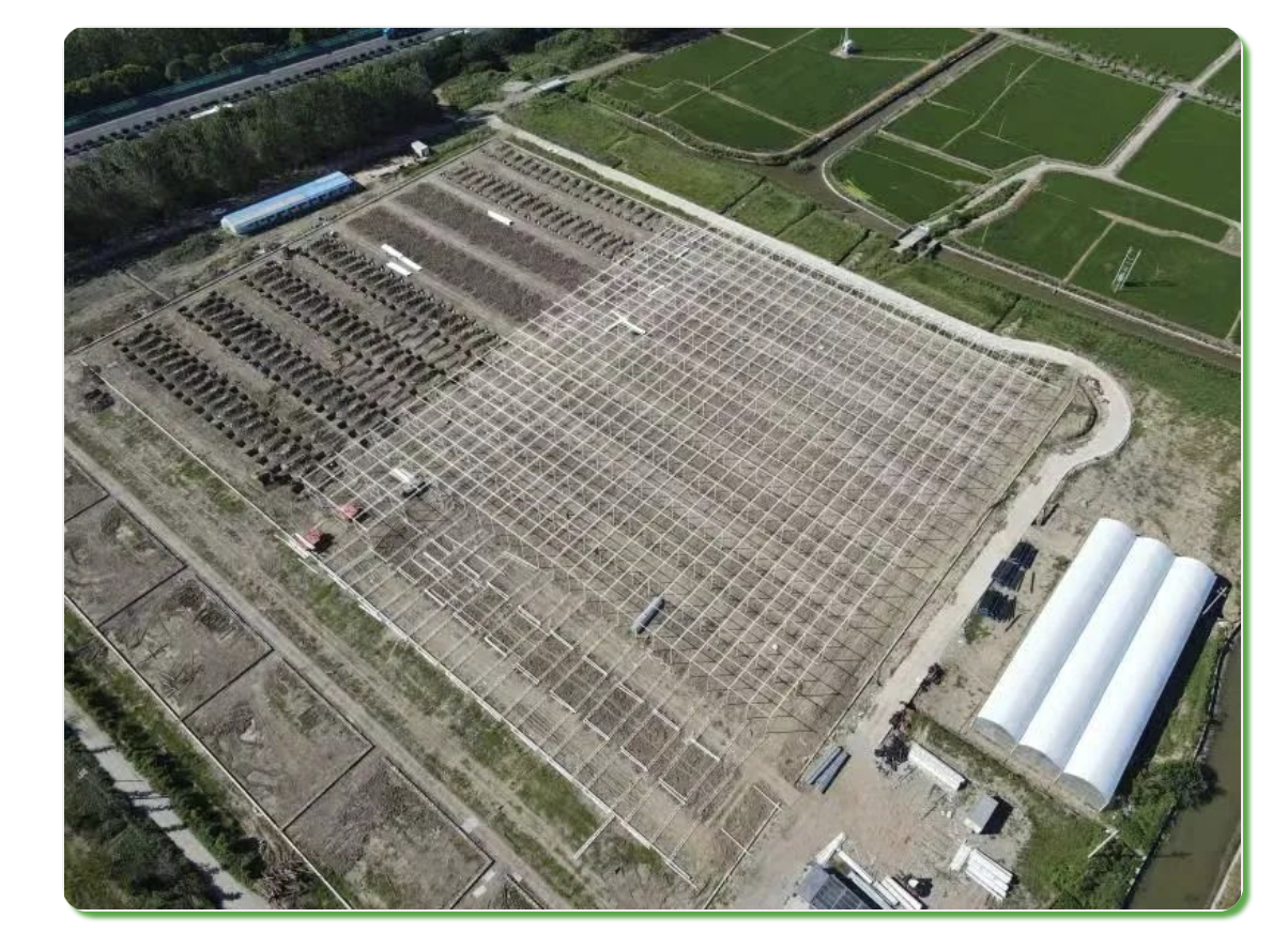 Meteor's first large-scale hydroponics project in China
