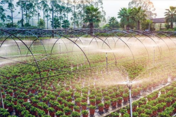 What are the components of an automatic irrigation system?