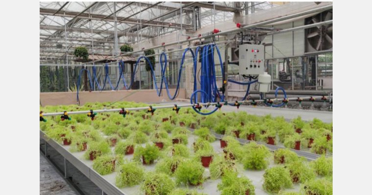 How to irrigate more efficiently for different greenhouses?