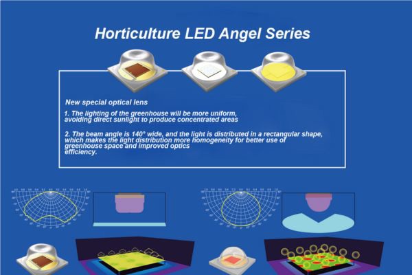 Ledestar launches LED module solutions for horticultural lighting
