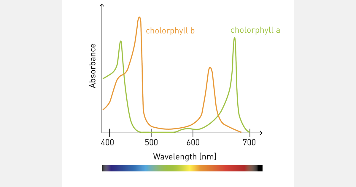 660nm deep-red LED 351V Plus 3.0 LED lighting series launched