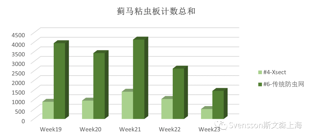 Insect screens are effective against thrips, data shows