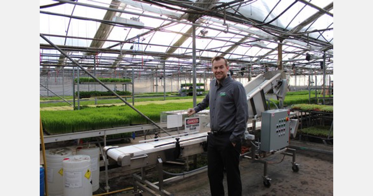 “Speeding up microgreens harvest up to 90%”