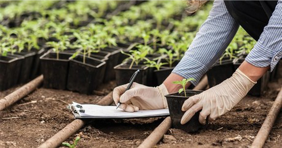 Australia: White Paper investment strengthens plant pest and disease ...