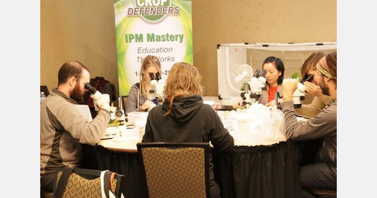 Greenhouse growers put IPM under the microscope
