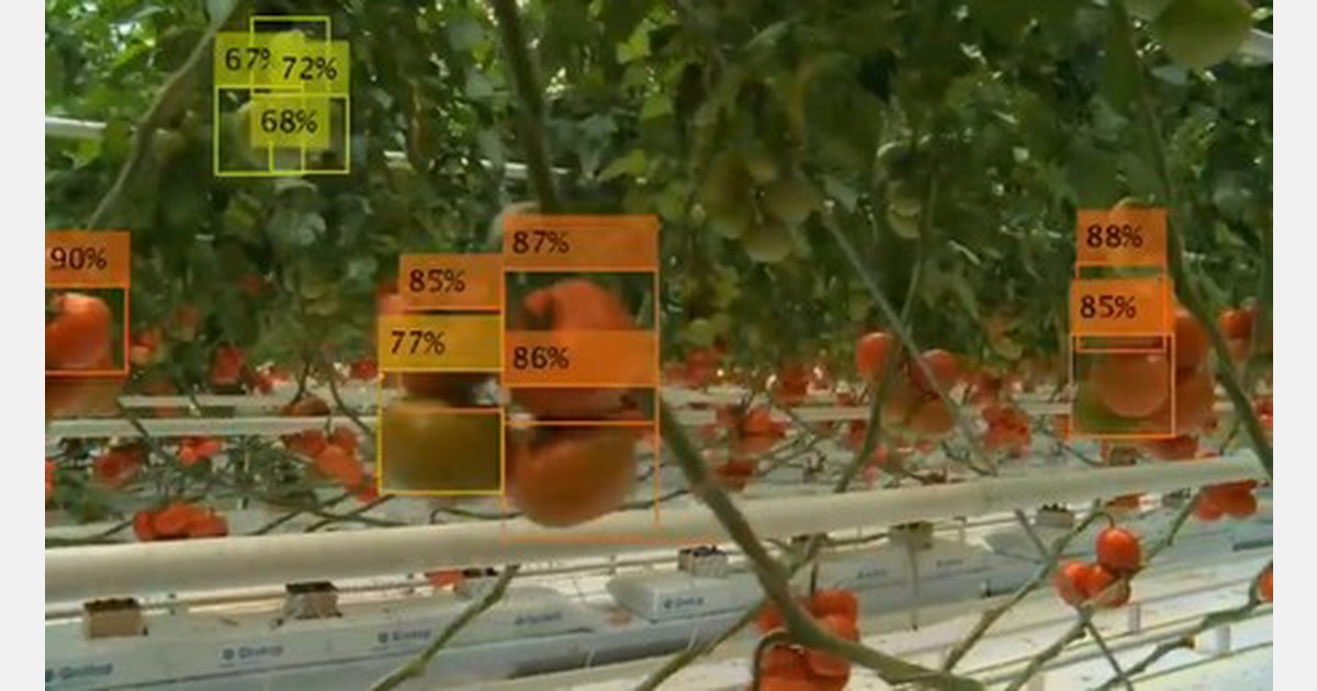 Machine locates fruits and measures level of ripeness