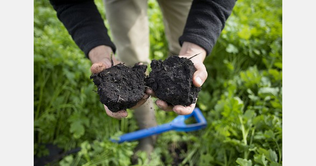 UK: Time for growers to take a closer look at their soils