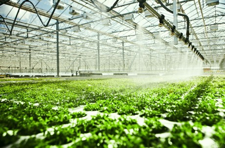 "Safest way to chlorinate is by disinfecting the water with gas chlorine"