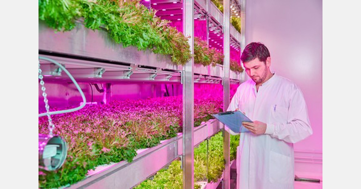 The role of sensors and data collection in a successful vertical farm