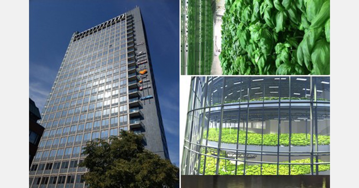 Swedish vertical farming company Plantagon International bankrupt