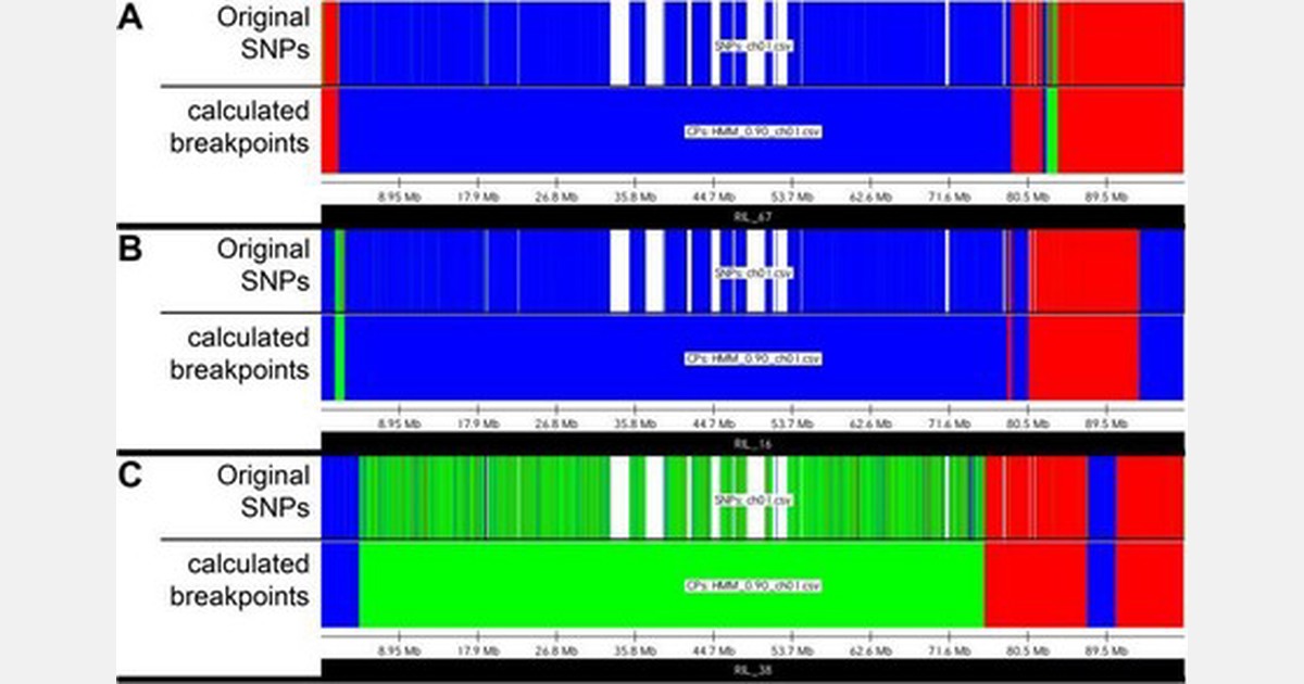 Sequencing Based Bin Map Construction Of A Tomato Mapping Population