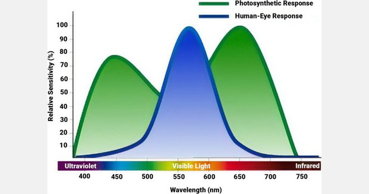 Horticulture lighting metrics: Understand grow lights