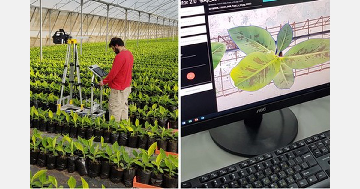 Growing together with Phenomics