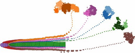 Breakthrough technique for studying gene expression takes root in plants