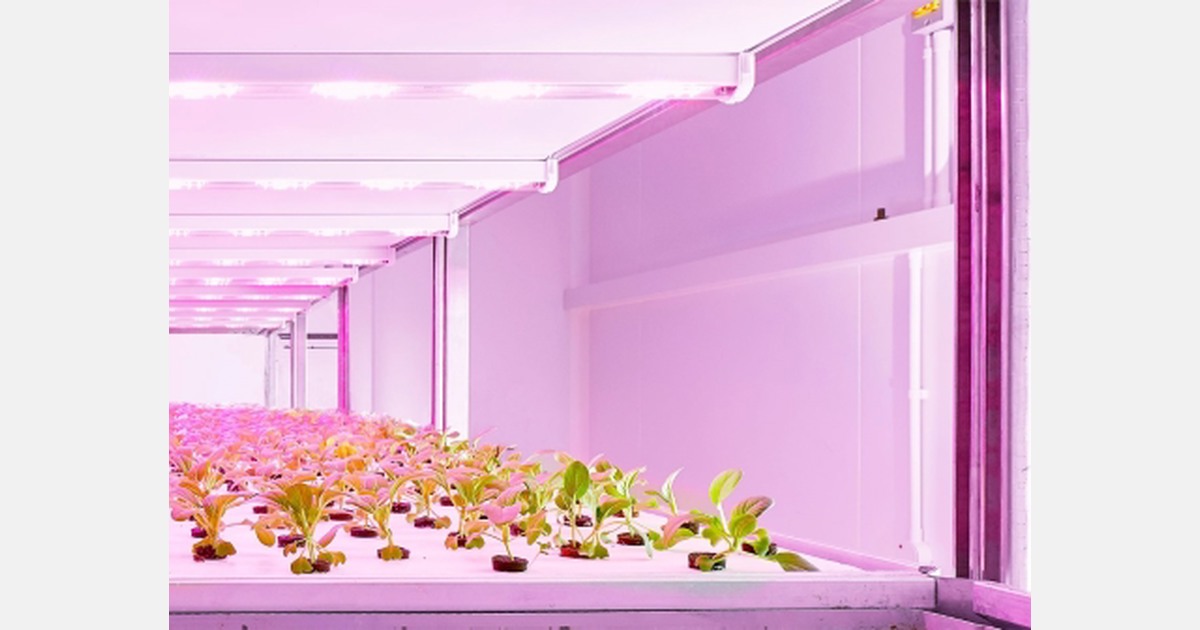 LED production module optimizes multilayer crop cultivation