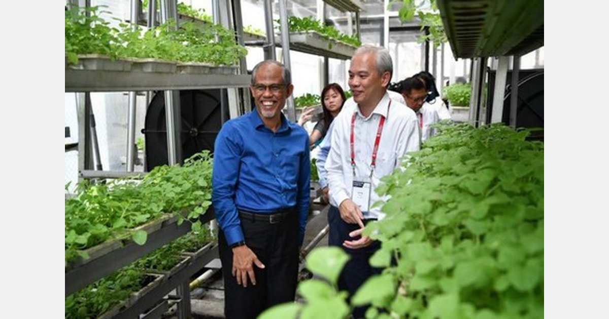 Singapore: Vertical farm receives urban farm certification for organic ...