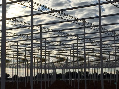 Largest Australian biofuel plant to supply energy to new Katunga Fresh ...