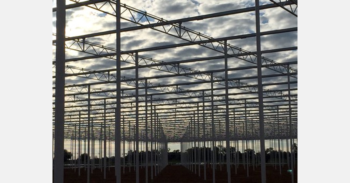 Largest Australian biofuel plant to supply energy to new Katunga Fresh ...