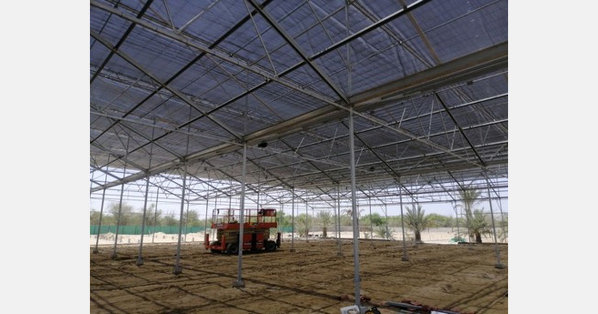 A new hydroponic farm starts a new age for UAE farmers
