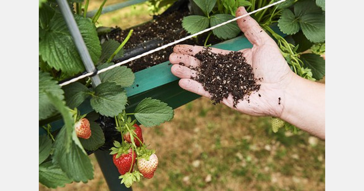 New solution in the trend towards peat substitutes