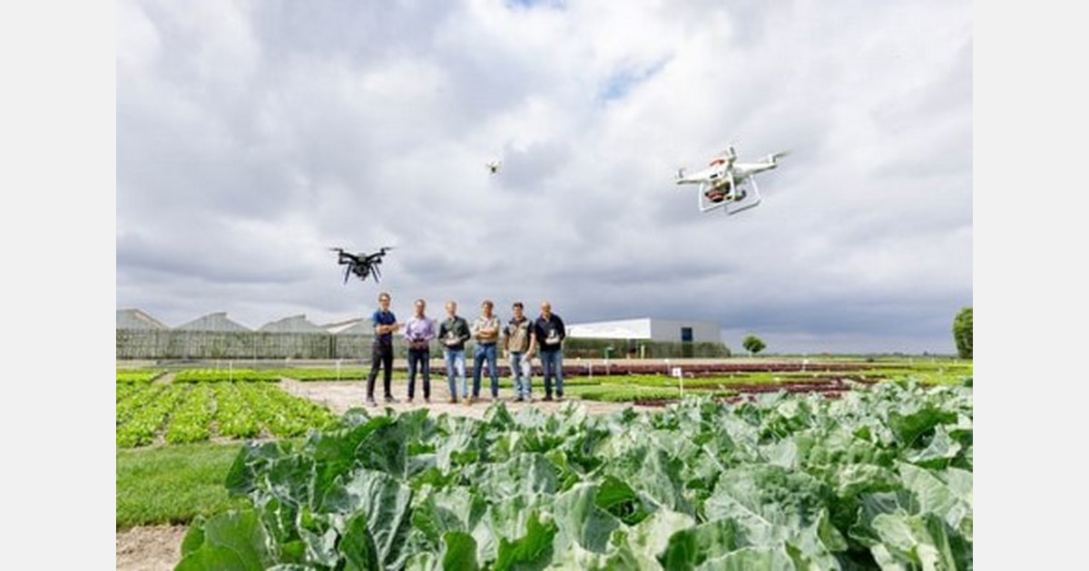 Rijk Zwaan achieves turnover milestone