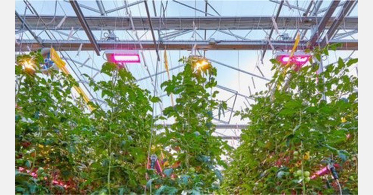 Signify reports third quarter sales of EUR 1.5 billion