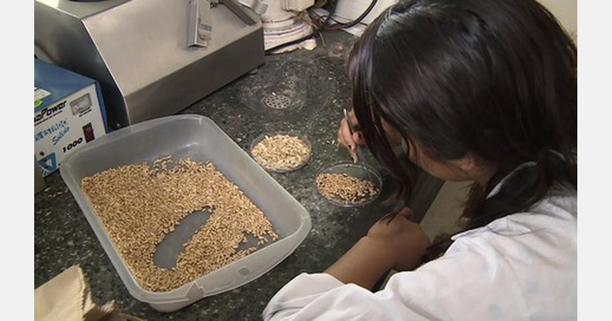 Targeting hunger with nuclear techniques