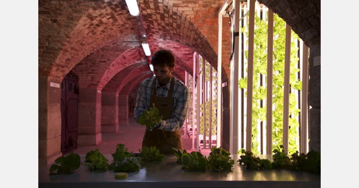 Liverpool gets underground hydroponic vertical farm