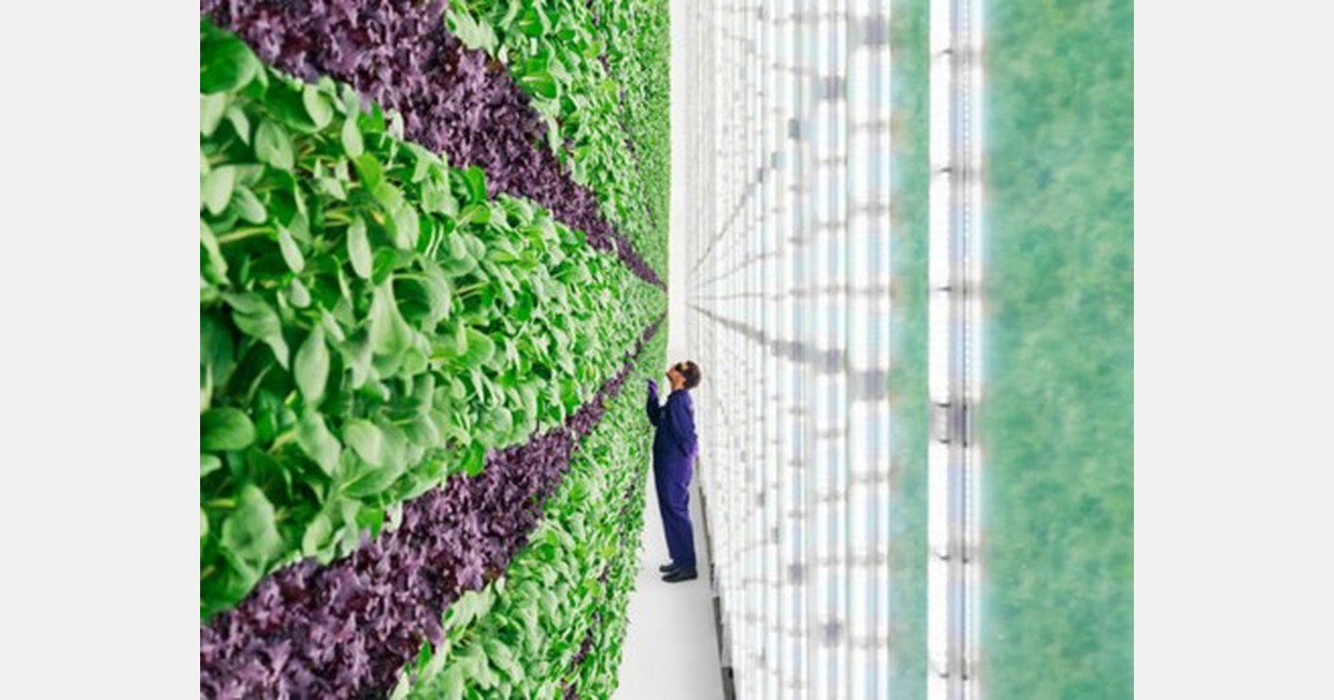 US (WA): Jeff Bezos-backed vertical agriculture startup Plenty ...