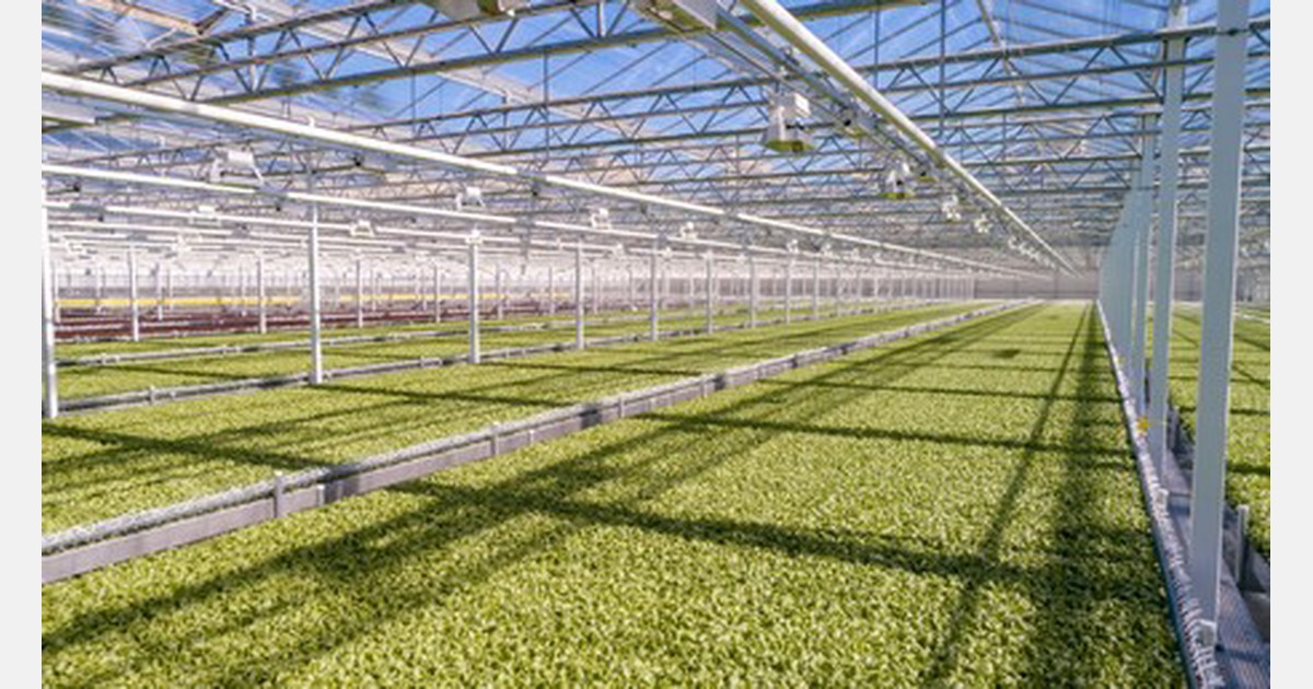 Little Leaf Farms goes on expansion spree