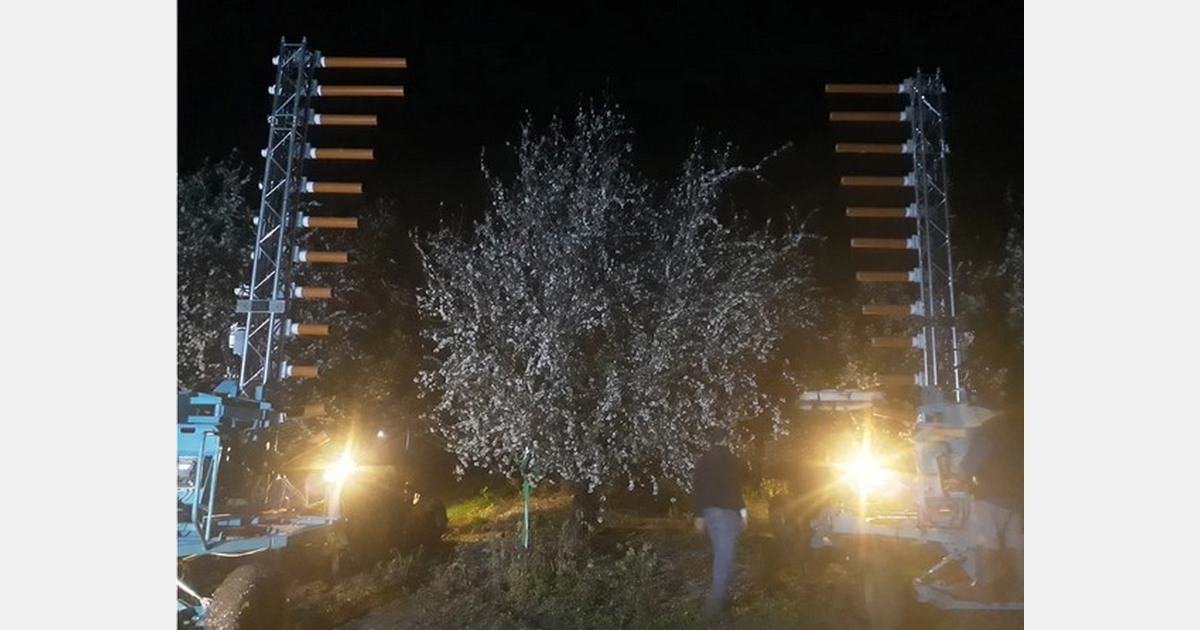 Artificial pollination technology developed