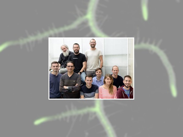 Scientists develop CRISPR-based tissue-specific knockout system