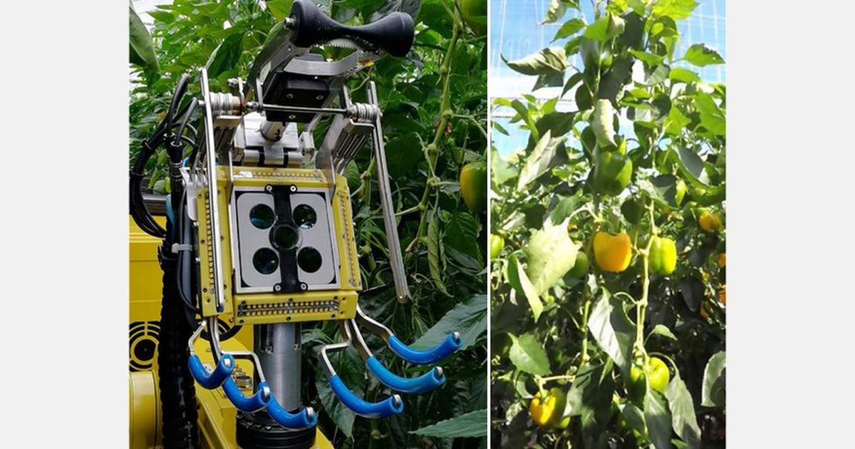 Sweeper robot shows promising results