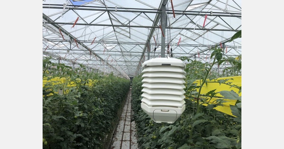 Autogrow launches wireless smart sensor network