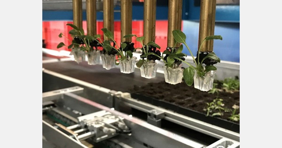 "Tissue cultures can now be planted automatically at a rate of up to ...
