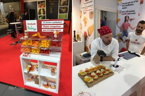 "With these new colours the Tribelli assortment gets even more diverse ...