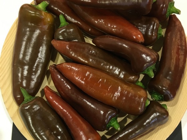 "With these new colours the Tribelli assortment gets even more diverse ...