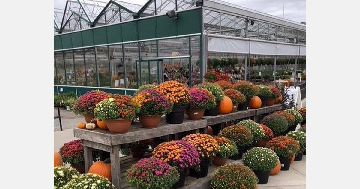 US (MA): Dates announced for Northeast Greenhouse Conference and Expo