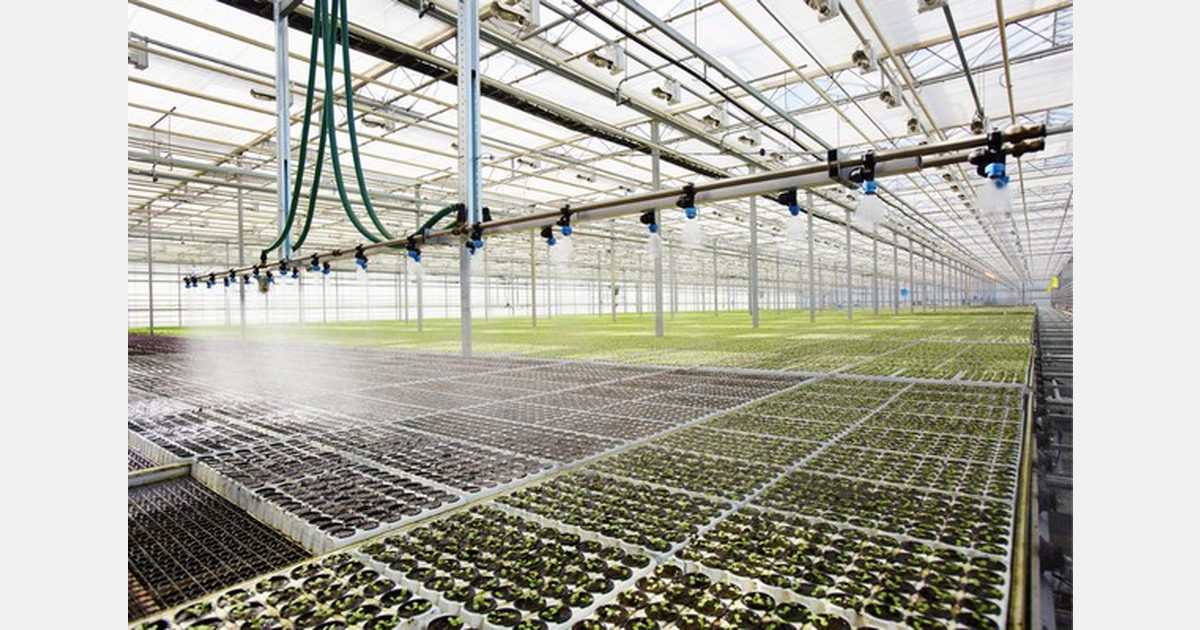 Greenhouse irrigation and fertigation offer boosts to efficiency and ...