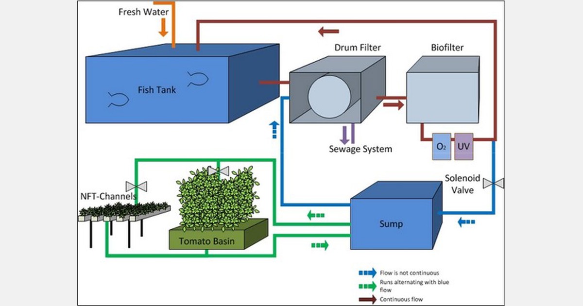 Aquaponics in the classroom